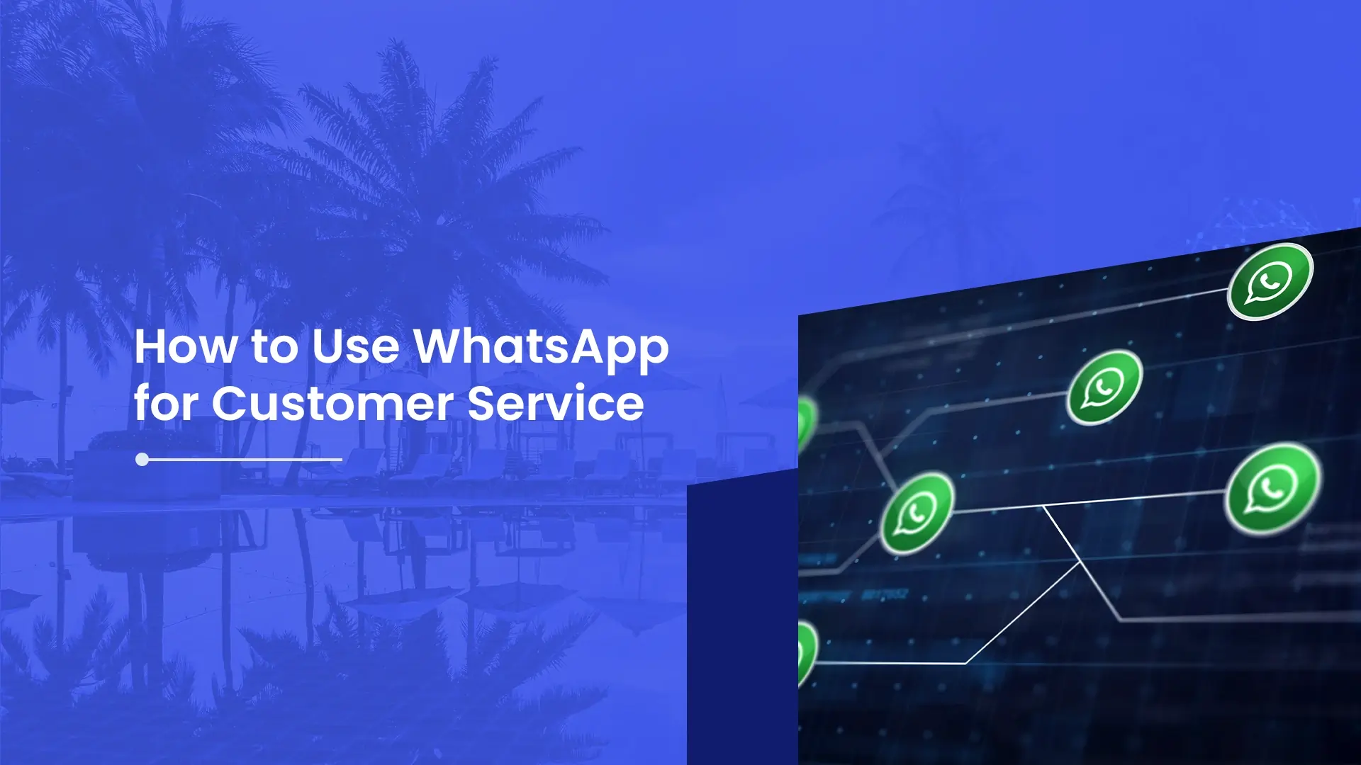 How to Use WhatsApp for Customer Service in Business?